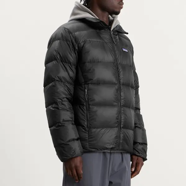 Patagonia Fitz Roy Down Jacket