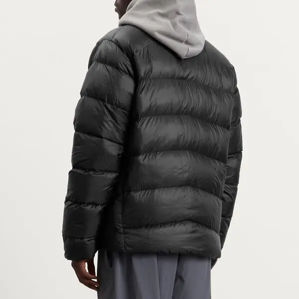 Patagonia Fitz Roy Down Jacket