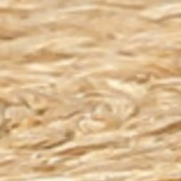 Christopher Esber Raffia Palma Flip Flops