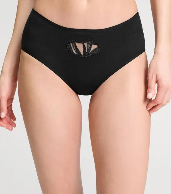 Hanro Cotton Lace-detail Rosaria Briefs