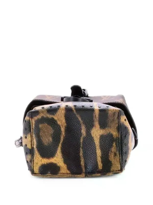 LOUIS VUITTON Monogram And Wild Animal Print Canvas Camera Box Handbag