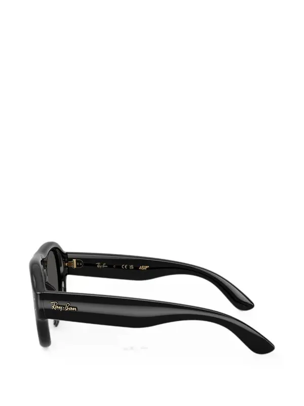 Ray-ban Aviator Sunglasses