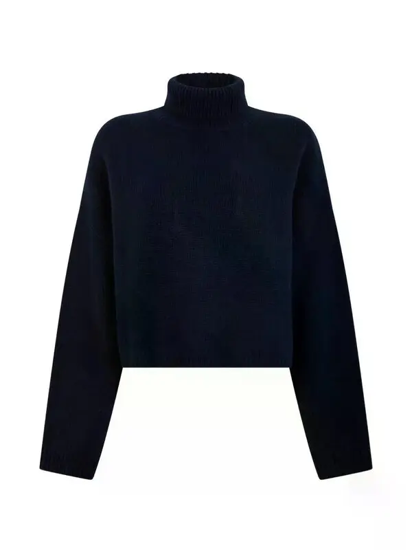 LISA YANG Ribbed-knit Roll-neck Sweater