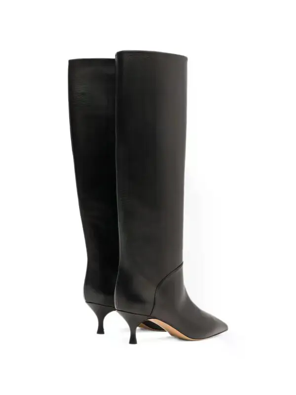 Casadei Julia Plonge Pointed-toe Knee-high Boots