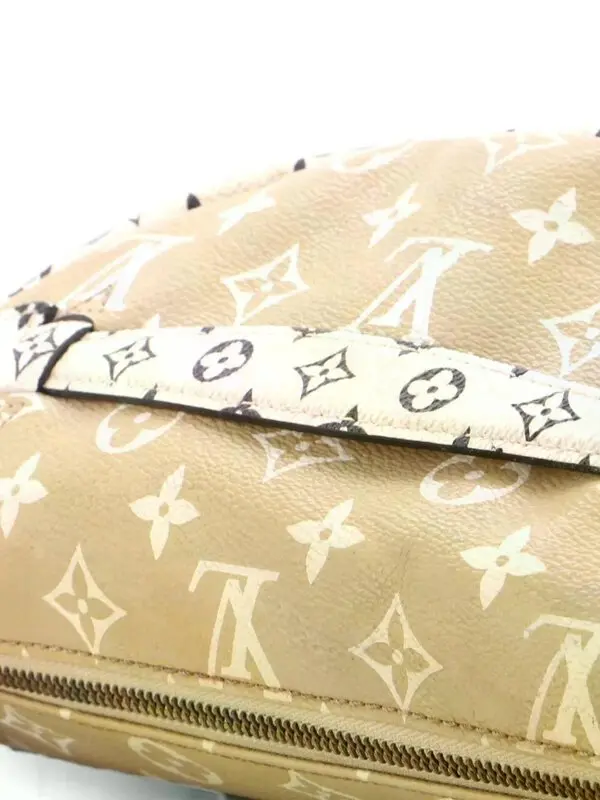 LOUIS VUITTON Limited Edition Monogram Giant Belt Bag
