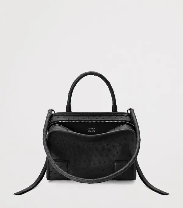 Loewe Small Ostrich Leather Amazona 180 Top-handle Bag
