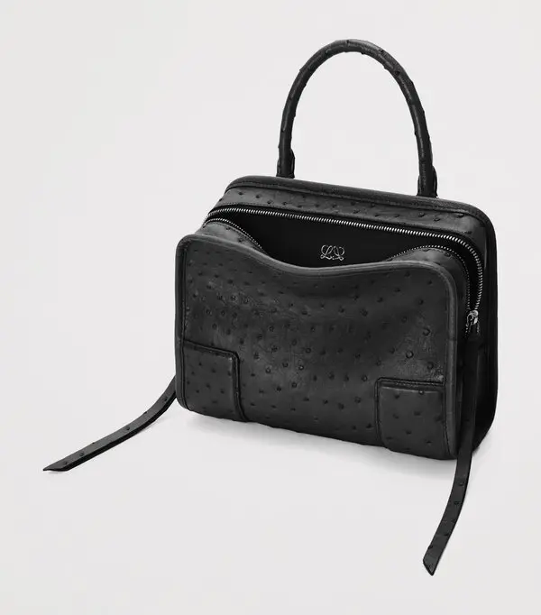 Loewe Small Ostrich Leather Amazona 180 Top-handle Bag