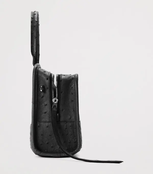 Loewe Small Ostrich Leather Amazona 180 Top-handle Bag