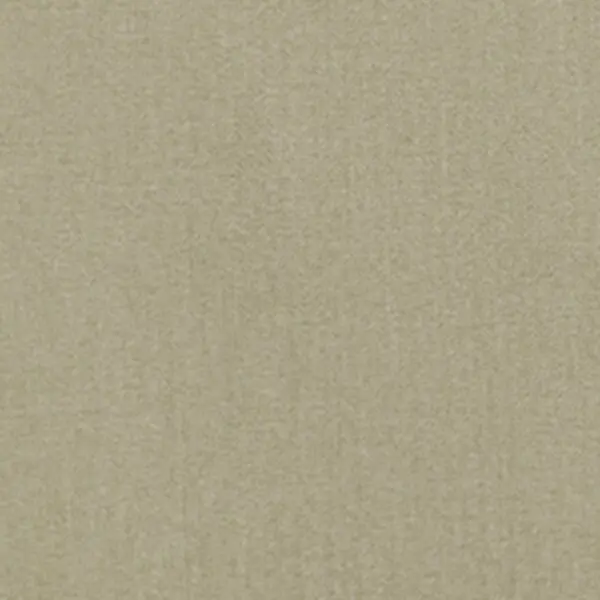 Loewe Cotton Anagram Shirt