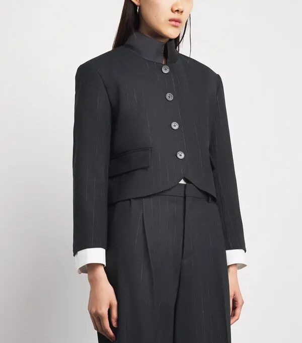 Sandro Stripe Cropped Blazer