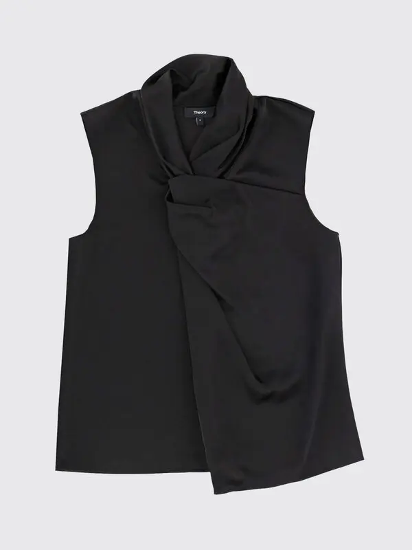 Theory Top Colour