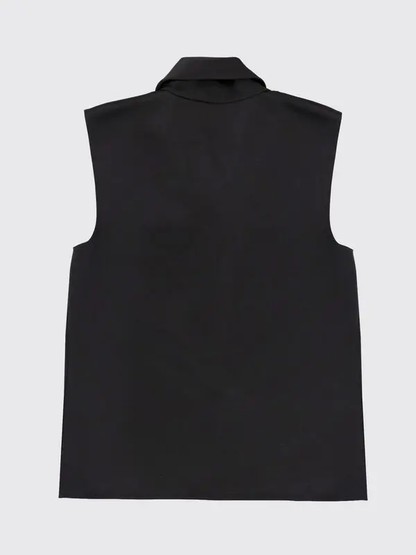 Theory Top Colour