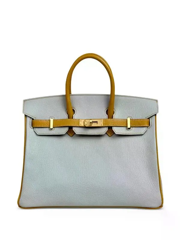 Hermès 2019 Birkin 25 Chèvre Mysore Handbag
