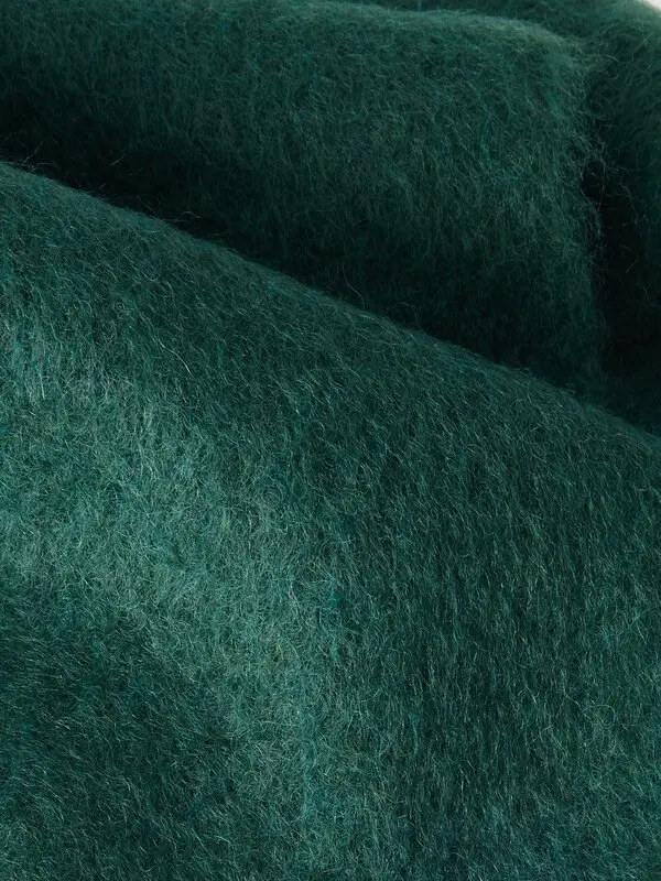 THE ROW Creana Fringed Mohair And Wool-blend Scarf