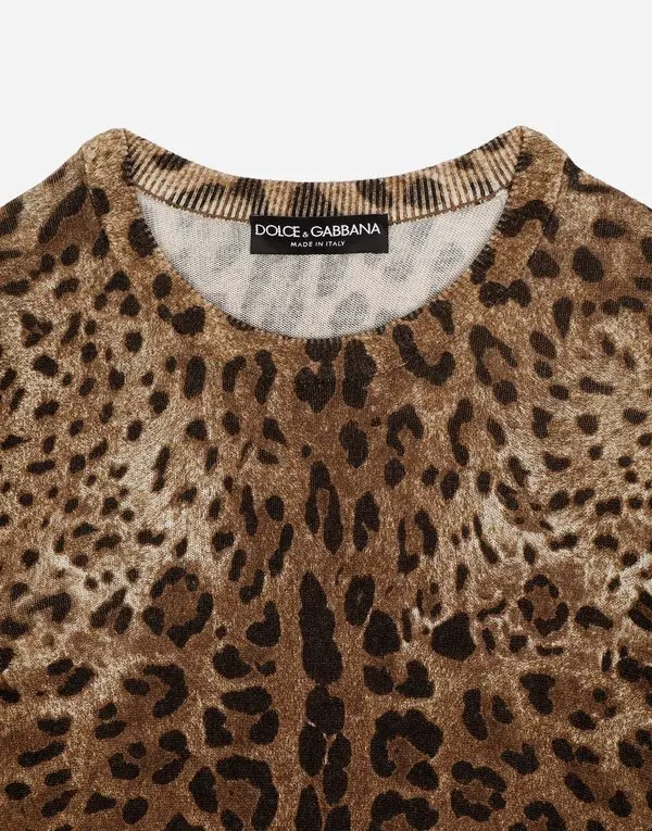 Dolce & Gabbana Leopard-print Cashmere Sweater Sweaters And Cardigans Cashmere - Multicolor