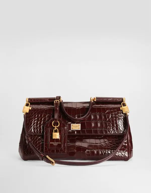 Dolce & Gabbana Borsa A Mano Handbags - Bordeaux