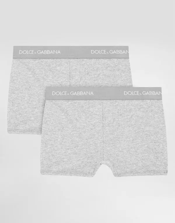 Dolce & Gabbana Boxer Two-pack With Branded Elastic Nightwear & Underwear Gray