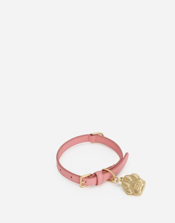 Dolce & Gabbana Collare Cane H12-s Dog Accessories - Pink