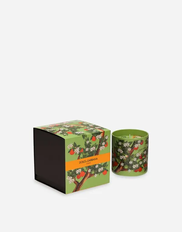 Dolce & Gabbana Scented Candle Sicilian Orange Glass Candles