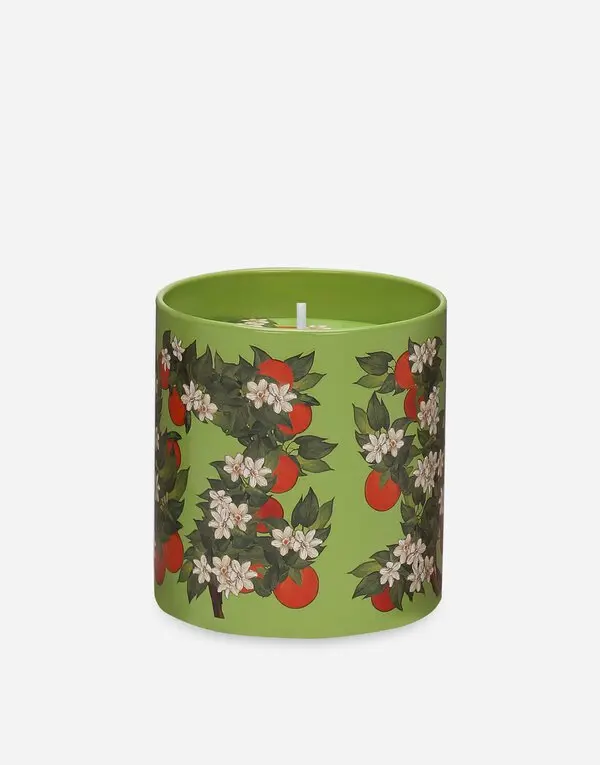Dolce & Gabbana Scented Candle Sicilian Orange Glass Candles