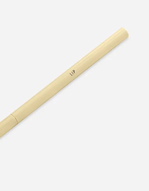 Dolce & Gabbana Lip Beauty Brush Brushes