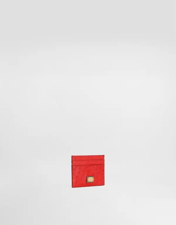 Dolce & Gabbana Polished Ostrich Leather Card Holder Wallets And Small Leather Goods