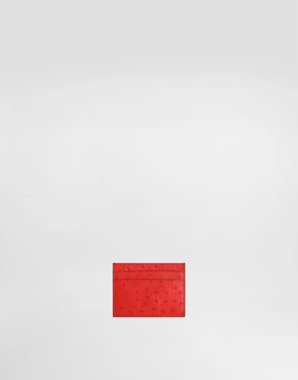Dolce & Gabbana Polished Ostrich Leather Card Holder Wallets And Small Leather Goods