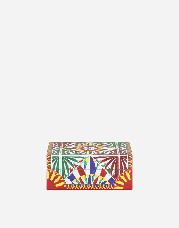 Dolce & Gabbana Small Decorated Plexiglass Box Decorative Boxes - Multicolor