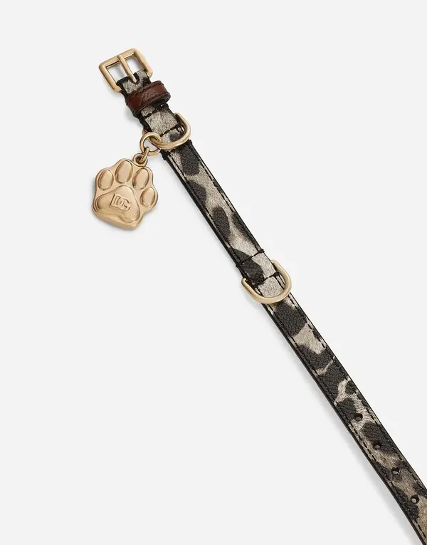 Dolce & Gabbana Dog Collar With Paw Charm - Print