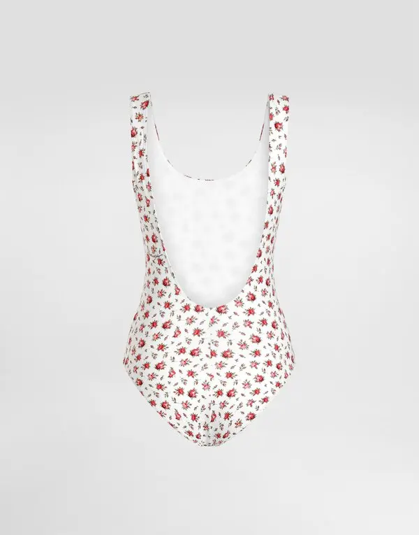 Dolce & Gabbana Rose-print One-piece Swimsuit - Multicolor