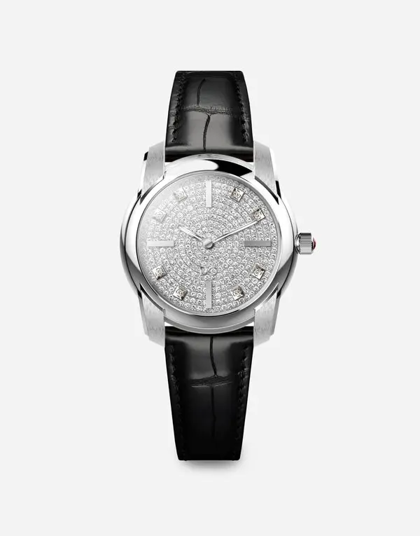 Dolce & Gabbana Dg7 Pavé White Gold Watch Watches