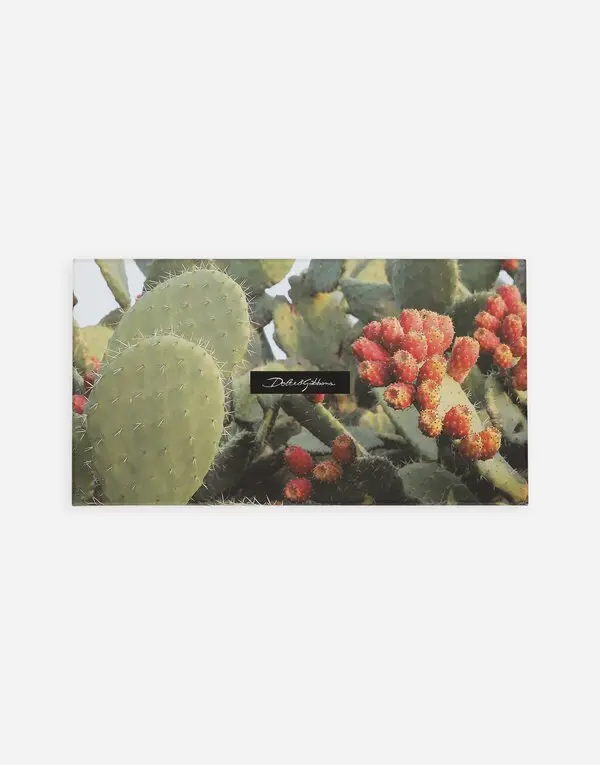 Dolce & Gabbana Set 5pz Biglietti Notebooks