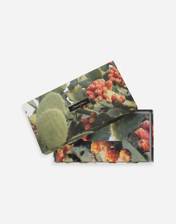 Dolce & Gabbana Set 5pz Biglietti Notebooks