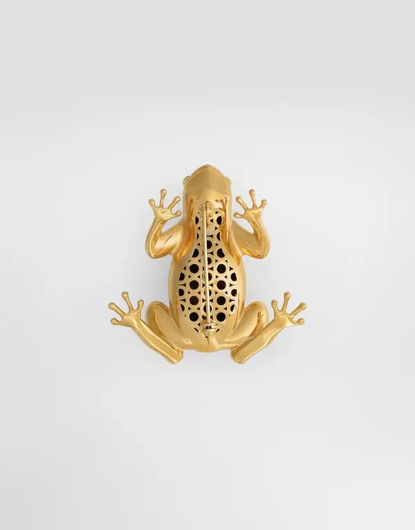 Dolce & Gabbana Sartoria Frog-shaped Brooch Bijoux Metal