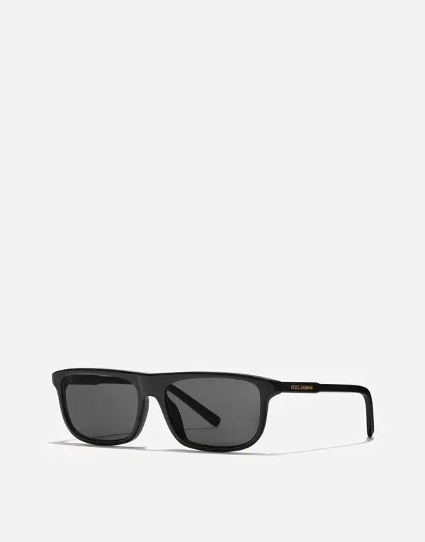 Dolce & Gabbana Dg Everyday Sunglasses Sunglasses Acetate