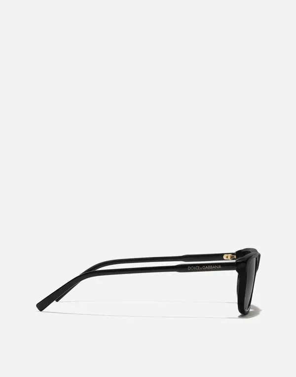 Dolce & Gabbana Dg Everyday Sunglasses Sunglasses Acetate
