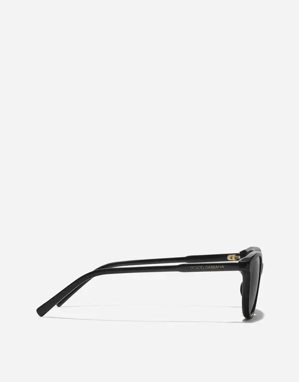 Dolce & Gabbana Dg Everyday Sunglasses Sunglasses Acetate
