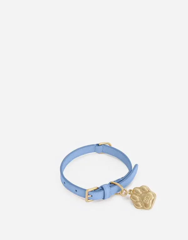 Dolce & Gabbana Collare Cane H12-s Dog Accessories - Azure