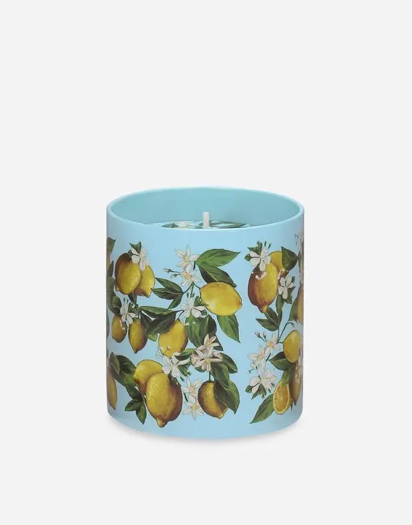 Dolce & Gabbana Candela 380g Glass Candles