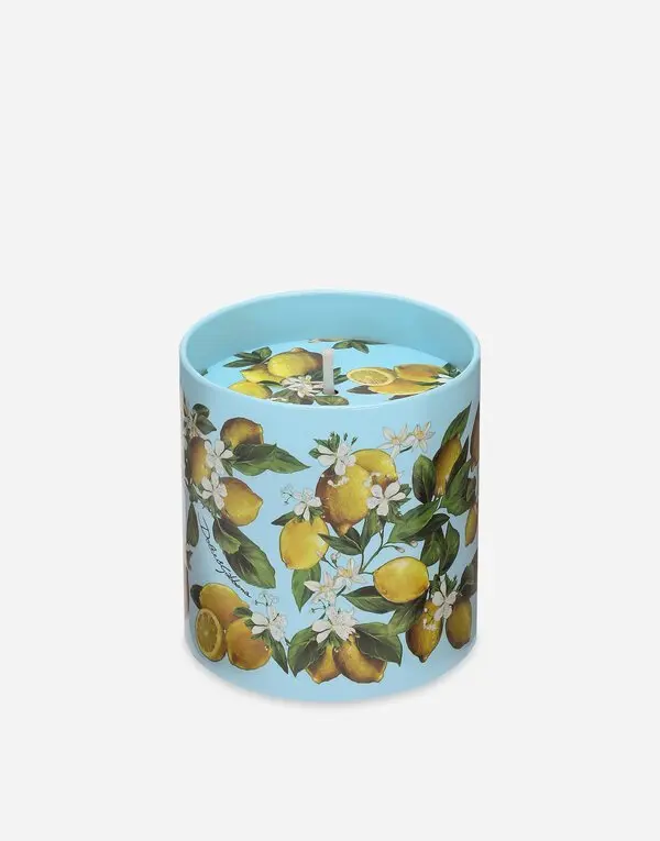 Dolce & Gabbana Candela 380g Glass Candles