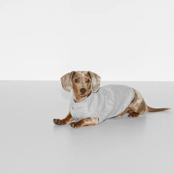 Gucci Wool Jacquard Pet Juper, Size - Grey