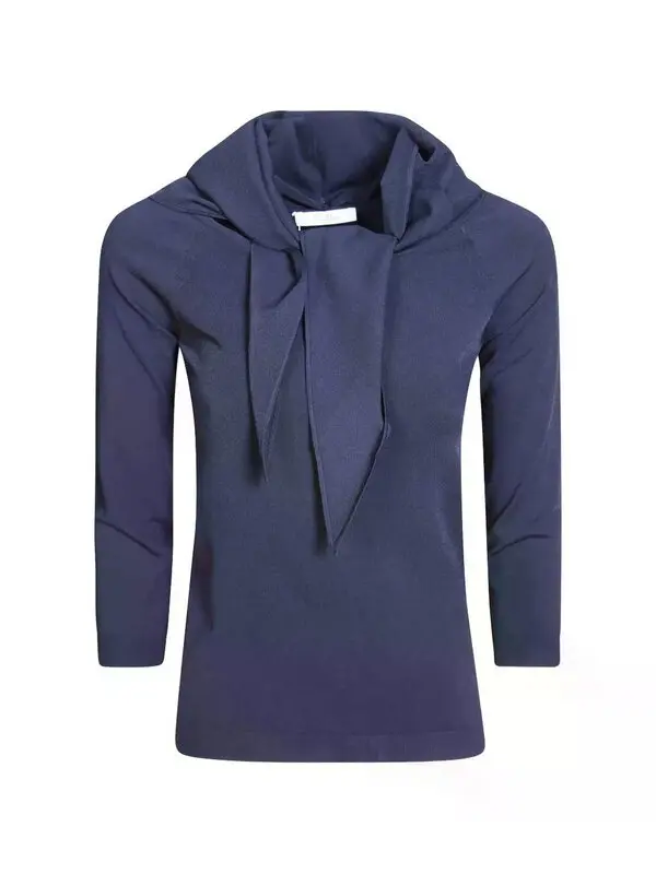 Max Mara Hooded Raglan-sleeve Sweater