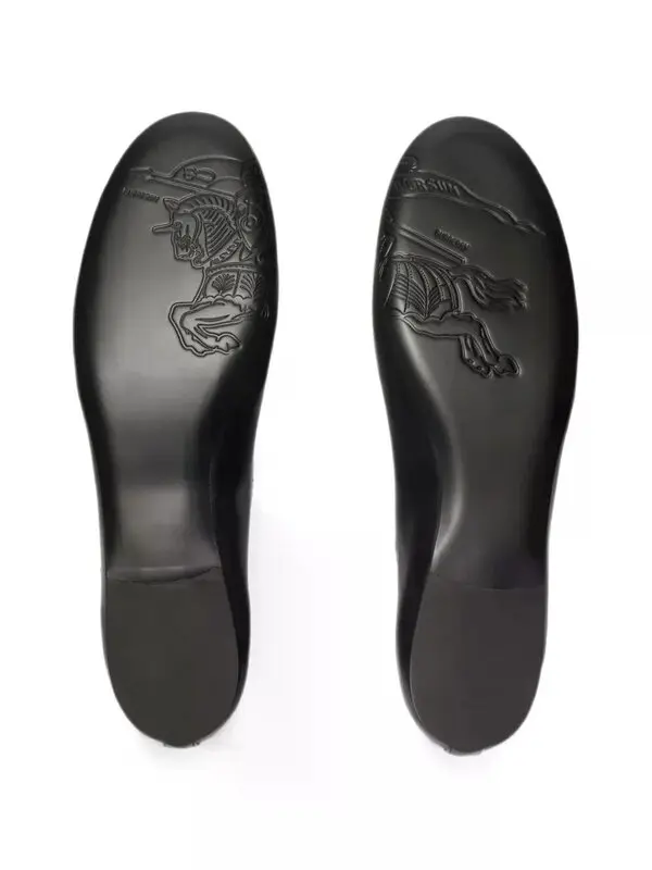 Burberry Robin