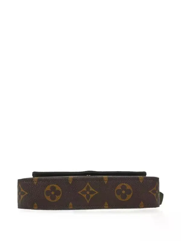 LOUIS VUITTON 2010-2020s Félicie Strap & Go Monogram Shoulder Bag