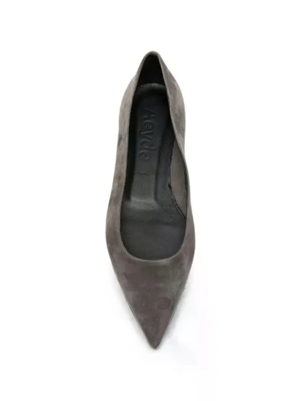 AeydĒ Cassy Pointed-toe Pumps