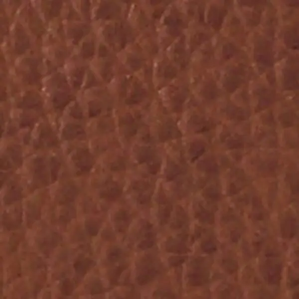 Mulberry Leather Darley Camera Bag