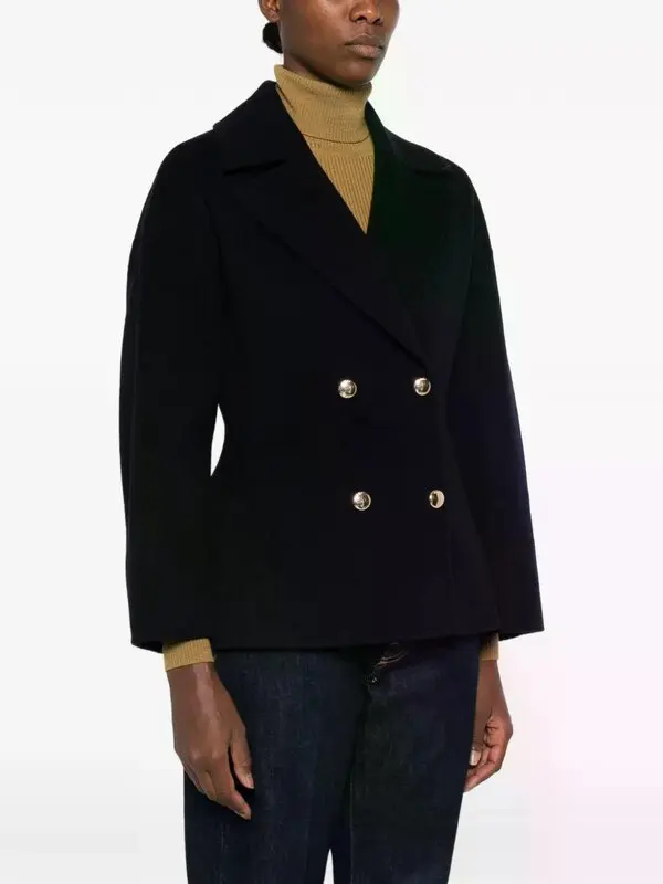Maje Double-breasted Wool Jacket