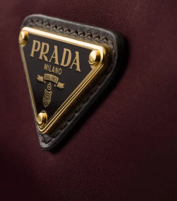Prada Small Re-nylon & Leather Explore Bag