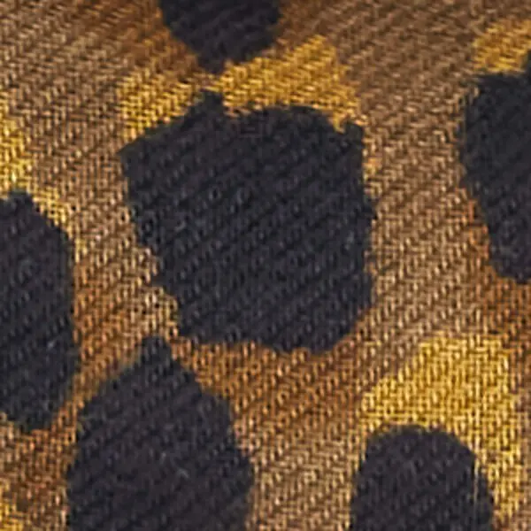 Etro Leopard And Paisley Print Scarf
