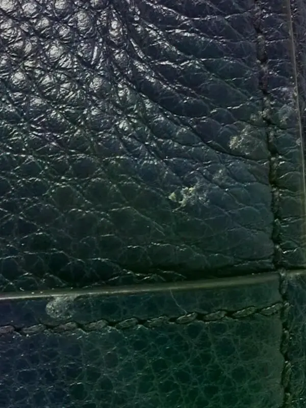 Prada Vitello Phenix Leather Tote Bag